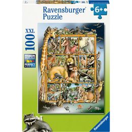 Ravensburger Jungen Puzzle "Tiere im Regal", bunt, B:36cm, Puzzles, Made in Germany