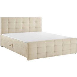 Boxbett OTTO HOME "Lilienne inkl. Bettkasten und Topper, Liegefl&auml;che 180x200cm", beige, B:182cm L:219cm, Komplettbetten, erh&auml;ltlich in der Gr&ouml;&szlig;e 180x200 cm