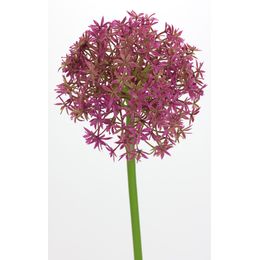 Kunstblume I.GE.A., B:13cm H:80cm L:13cm, lila, Kunststoff, Kunstpflanzen, "Allium Zierlauch", Stielblume k&uuml;nstliche Blumen, 2er Set