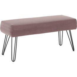 Sitzbank, B:104cm H:50cm T:40cm, pink, exxpo - SOFA FASHION, 100% Polyester, Esszimmer, Sitzb&auml;nke, "Doppio", Frei im Raum stellbar