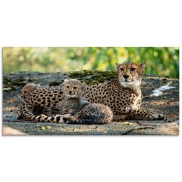 Glasbild Artland, B:100cm H:50cm, braun, Glas, K&uuml;che, Bilder, "Gepard 2", in verschiedenen Gr&ouml;&szlig;en