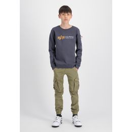M&auml;dchen Sweater "Alpha Label Sweater Kids", grau, Gr. 16, Alpha Industries, Obermaterial: 80% Baumwolle, 20% Polyester, Sweatshirts