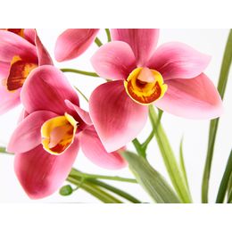 Kunstblume I.GE.A., B:26cm H:32cm L:16cm, rosa, Polyester, Kunstpflanzen, "Orchidee", Mit Bl&auml;tter im Topf aus Keramik K&uuml;nstliche Blume