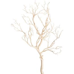 Kunstzweig BOTANIC-HAUS, B:36cm H:96cm T:20cm, gold, Kunststoff, Kunstpflanzen, "weihnachtlicher Deko-AST"
