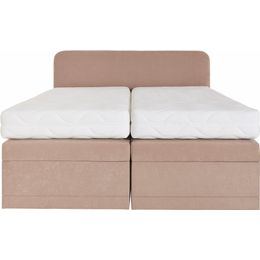 Boxspringbett, B:195cm L:212cm, beige, Westfalia Schlafkomfort, Box und Kopfteil: Microvelours (100% Polyester) oder Kunstleder (Polyurethan);Bezug