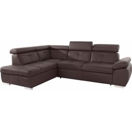 Ecksofa, B:274cm H:81cm T:206cm, braun, exxpo - SOFA FASHION, NaturLEDER (echtes Rindsleder) in Sitz und R&uuml;cken. Korpus in passendem Kunstleder