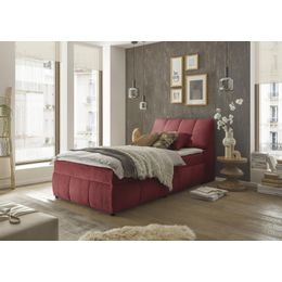Boxbett, B:123cm L:240cm, rot, ED EXCITING DESIGN, 100% Polyester, Komplettbetten, "Valencia", inkl. Bettkasten und Stauraum im Kopfteil