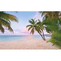 Komar Vliestapete "Digitaldruck Vlies - Paradise Morning - Gr&ouml;&szlig;e 400 x 250 cm", B/L: 400mm x 250mm, Rollen:, bunt, Tapeten, Wohnzimmer, Schlafzimmer
