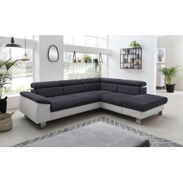 Ecksofa COTTA, B:249cm H:72cm T:100cm, grau, Microfaser PRIMABELLE (100% Polyester);Kunstleder SOFTLUX;Feinstruktur (100% Polyester);Kunstleder