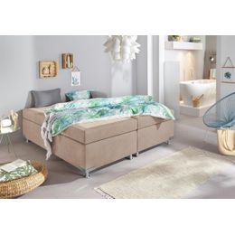 Boxspringbett, B:182cm L:201cm, beige, Westfalia Schlafkomfort, Microvelours (100% Polyester), Komplettbetten, "Holland", ohne Kopfteil, frei im Raum