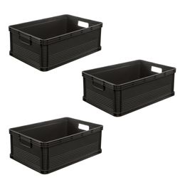 Transportbeh&auml;lter keeeper "Transportbox robert, 3er Set, 45 L, 60 x 40 x 22 cm", schwarz, B:40cm H:22cm L:60cm, Kunststoff, Transportboxen, s&auml;ure- und laugenbest&auml;ndig, 60 kg Tragkraft