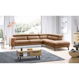 Ecksofa Places of Style, B:305cm H:76cm T:233cm, braun, Bezug: Luxus-Mikrofaser (100%Polyester);Bezug: NaturLEDER, Wohnzimmer, Sofas, "Olanta, modern