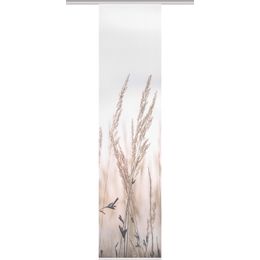 Schiebegardine Vision S, B:60cm H:260cm, beige, Polyester, Gardinen, "SCHIEBEVORHANG DIGITALDRUCK BAMBUS-OPTIK 'RELVA'", DIGITALDRUCK - INDIVIDUELL