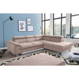 Ecksofa COTTA, B:249cm H:72cm T:100cm, braun, Microfaser PRIMABELLE (100% Polyester);Kunstleder SOFTLUX;Feinstruktur (100% Polyester);Kunstleder