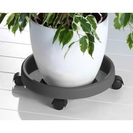 Ruco Blumentopfuntersetzer, H:9cm &Oslash;:34cm, grau, Untersetzer, Kunststoff, &Oslash; 34 cm