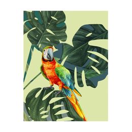 Bild Komar, B:40cm H:50cm, bunt, Holz, Papier, Wohnzimmer, Bilder, "Green-Winged Macaw", Wandbild zur Dekoration - ohne Rahmen