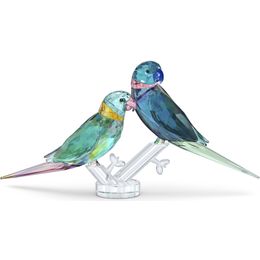Swarovski Dekofigur "Kristallfigur Vogel Jungle Beats Sittichpaar Fife & Fifer", B/H/T: 18,4cm x 9,5cm x 5cm, bunt, Swarovski Kristall, B:18,4cm