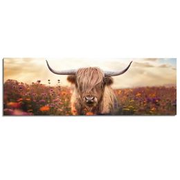 Deco-Panel Reinders, B:156cm H:52cm T:2cm, braun, Bilder, "Fr&uuml;hlingshochl&auml;nder", Wohnzimmer - Braun - MDF - Tiere - 156x52 cm