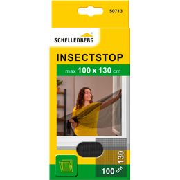 Schellenberg Fliegengitter-Gewebe "für Fenster ohne bohren", B/H: 100cm x 130cm, 1er Pack, grau, Insektenschutzgitter, Insektenschutz mit Klettband,