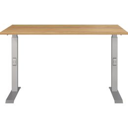 Schreibtisch Germania, B:120cm H:91cm T:80cm, silber, Büro, Tische, "Downey", höhenverstellbar von 68-91 cm, verfügbar in verschiedenen Breiten
