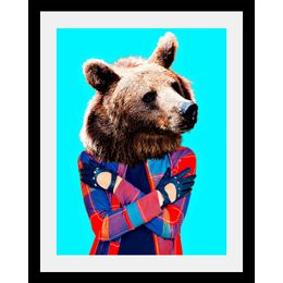 Bild queence, B:50cm H:70cm T:3cm, bunt, Acrylglas, Holz, Papier, Wohnzimmer, Bilder, "B&auml;r", HD Premium Poster-Druck inkl. Holzrahmen