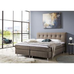 Boxspringbett, B:175cm L:210cm, beige, Westfalia Schlafkomfort, Bezug Bett: Feinstruktur 100% Polyester;Bezug Bonnell-Federkernmatratze: 100%
