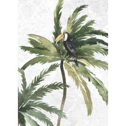 Bild Komar, B:50cm H:70cm, bunt, Holz, Papier, Wohnzimmer, Bilder, "Tropical Toucan", Wandbild zur Dekoration - ohne Rahmen
