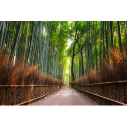 papermoon Fototapete "Bamboo Grove of Kyoto", B/L: 4m x 2,6m, Bahnen: 8 Stk., bunt, Tapeten