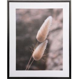 Bild mit Rahmen CREATIV HOME, B:40cm H:50cm T:2,5cm, bunt, Canvas, Kunststoff, Wohnzimmer, Bilder, "Leinwandbild Grasbl&uuml;te", mit Rahmen
