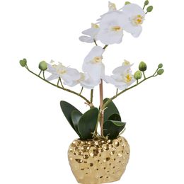 Kunstpflanze LEONIQUE, B:13cm H:38cm T:6,5cm, gold, Keramik, Kunststoff, Polyester, Badezimmer, Kunstpflanzen, "Orchidee", Kunstorchidee, im Topf,