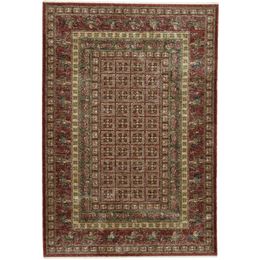 Teppich Theko, B:240cm H:10mm L:340cm, bunt, Polyester, Wohnzimmer, Teppiche, "Beatrice GF-137", Kurzflor, Orient Optik, mit Bord&uuml;re & Fransen,