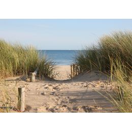 papermoon Fototapete "Dunes in Dorset", B/L: 4m x 2,6m, Bahnen: 8 Stk., bunt, Tapeten