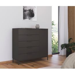Kombikommode Rauch, B:120cm H:111cm T:42cm, grau, Holzwerkstoff, Schlafzimmer, Sideboards, "Kommode T&uuml;rkommode Sideboard Kombikommode FLIPP", 1-t&uuml;rig