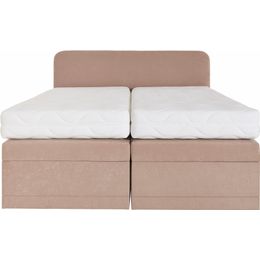 Boxspringbett, B:195cm L:212cm, beige, Westfalia Schlafkomfort, Box und Kopfteil: Microvelours (100% Polyester) oder Kunstleder (Polyurethan);Bezug