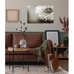 queence Wandsticker "Lena", B/H/T: 120cm x 80cm x 0,1cm, Pusteblume, braun, Kinderzimmer, Wandtattoos, Selbstklebend, kinderleichte Anbringung,
