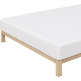 Spannbettlaken Schlafgut, wei&szlig;, Mako-Zwirn-Jersey, Obermaterial: 95% Baumwolle, 5% Elasthan, Bettlaken, "Premium", Zero Waste Verpackung, PREMIUM