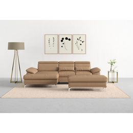 Sit & More Ecksofa SIT & MORE, B:295cm H:87cm T:180cm, braun, Wohnzimmer, Sofas, "Cabrio L-Form, B: 295 cm, mit Sitztiefen-, Arm- & Kopfteilverstellung", 2