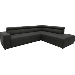 Ecksofa DOMO collection, B:275cm H:80cm T:228cm, schwarz, Echtleder, Wohnzimmer, Sofas, "Brandon L-Form, auch in Leder", inklusive