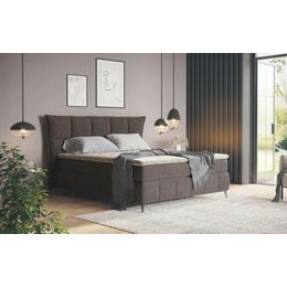 Boxspringbett COTTA, B:188cm L:215cm, braun, 100% Polyester, Komplettbetten, "Sarah", inkl. Topper, 2 Matratzenkerne, H&auml;rtegrade H2, H3 oder H4