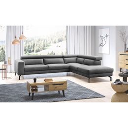 Ecksofa Places of Style, B:305cm H:76cm T:233cm, grau, Bezug: Luxus-Mikrofaser (100%Polyester);Bezug: NaturLEDER, Wohnzimmer, Sofas, "Olanta, modern
