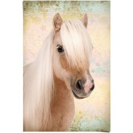 Poster Reinders, B:61cm H:91,5cm, braun, Papier, Bilder, "Pony Liebe"