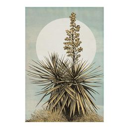 Bild Komar, B:50cm H:70cm, bunt, Holz, Papier, Wohnzimmer, Bilder, "Plans de Lagon", Wandbild zur Dekoration - ohne Rahmen