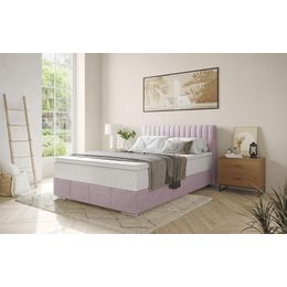 Boxbett Inosign, B:146cm L:208cm, rosa, Polyester, Komplettbetten, "Thor mit Bettkasten, inkl. Matratze, Topseller", Topper und Zierkissen, in