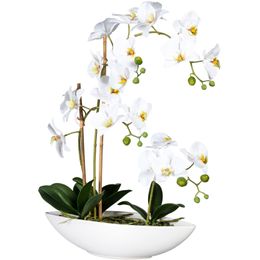 Kunstorchidee Creativ green, H:60cm, weiß, Kunststoff, Kunstpflanzen, "Phalaenopsis", im Keramikschiff