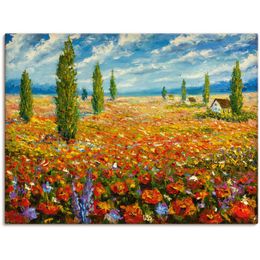 Leinwandbild Artland, B:80cm H:60cm T:1,8cm, rot, Leinwand, Wohnzimmer, Bilder, "Mohnblumenwiese", auf Keilrahmen gespannt