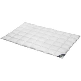 Daunenbettdecke Spessarttraum, B:155cm L:200cm, silber, Bezug: 100% Baumwolle. F&uuml;llung: 100% Daunen, Bettdecken, "Wildente Bettdecken 135x200cm &
