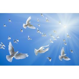 papermoon Fototapete "White Doves", B/L: 4m x 2,6m, Bahnen: 8 Stk., bunt, Tapeten