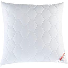 Schlafgut Microfaserkissen SCHLAF-GUT, B:80cm L:80cm, wei&szlig;, Bezug: 100% Polyester. Bezug Innen: 60% Lyocell (TENCEL ), 40% Polyester, Kopfkissen, "TENCEL ",