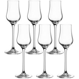 Leonardo Grappaglas "CIAO+", &Oslash; 6cm x 18cm, 85ml, 6 Stk., transparent, Trinkgef&auml;&szlig;e, 85 ml, 6-teilig