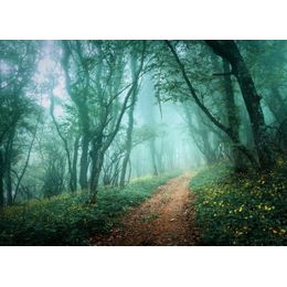 papermoon Fototapete "Misty Forest in Fog", B/L: 4m x 2,6m, Bahnen: 8 Stk., bunt, Tapeten